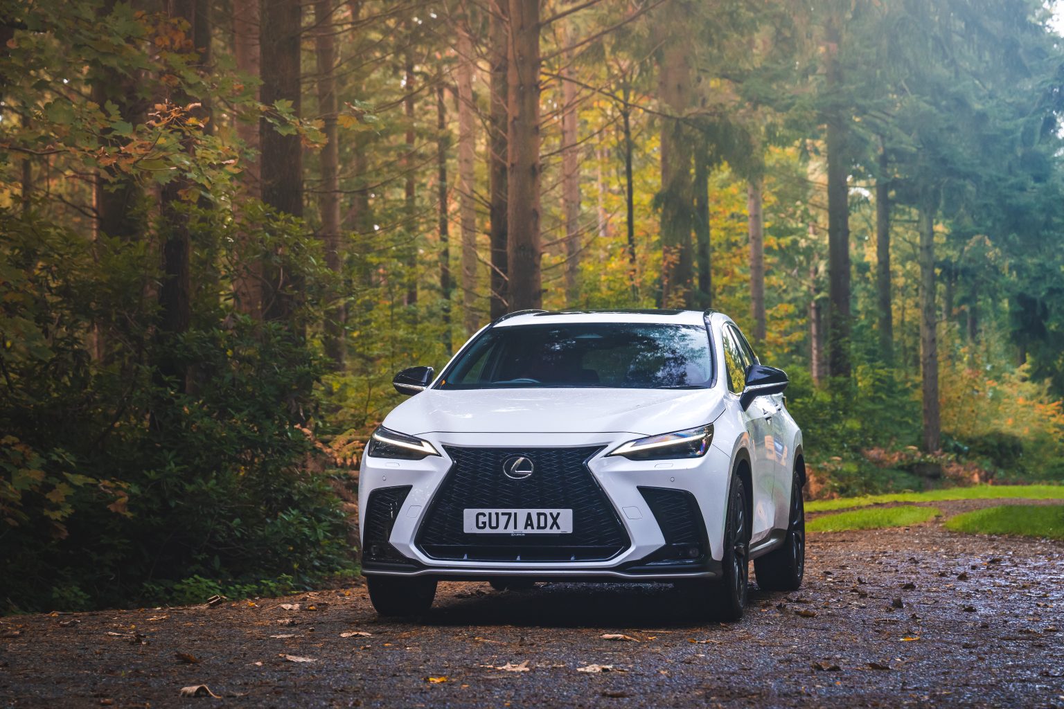 News and Content for Media - Lexus Media Site