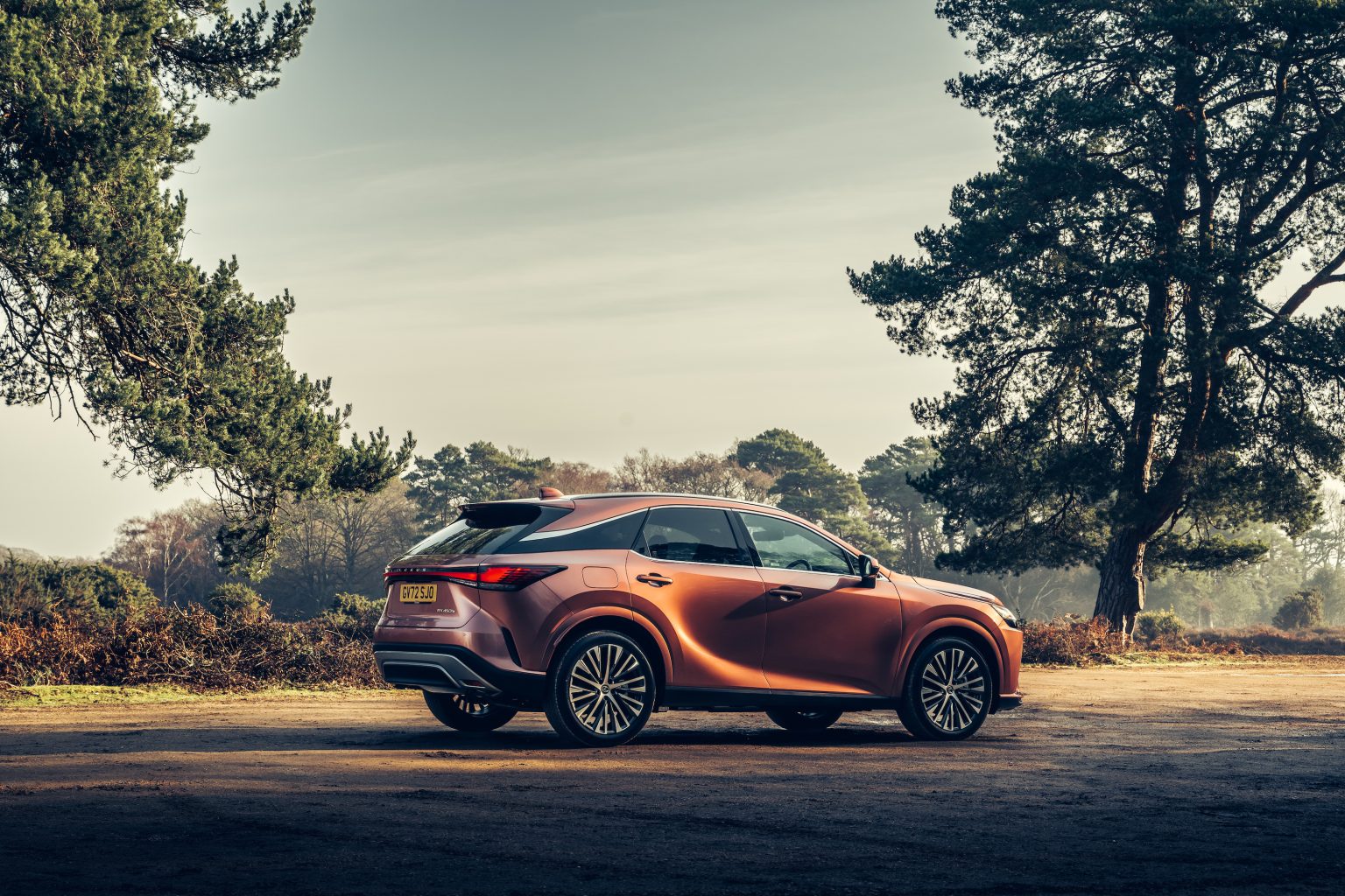 All-New RX - Lexus Media Site