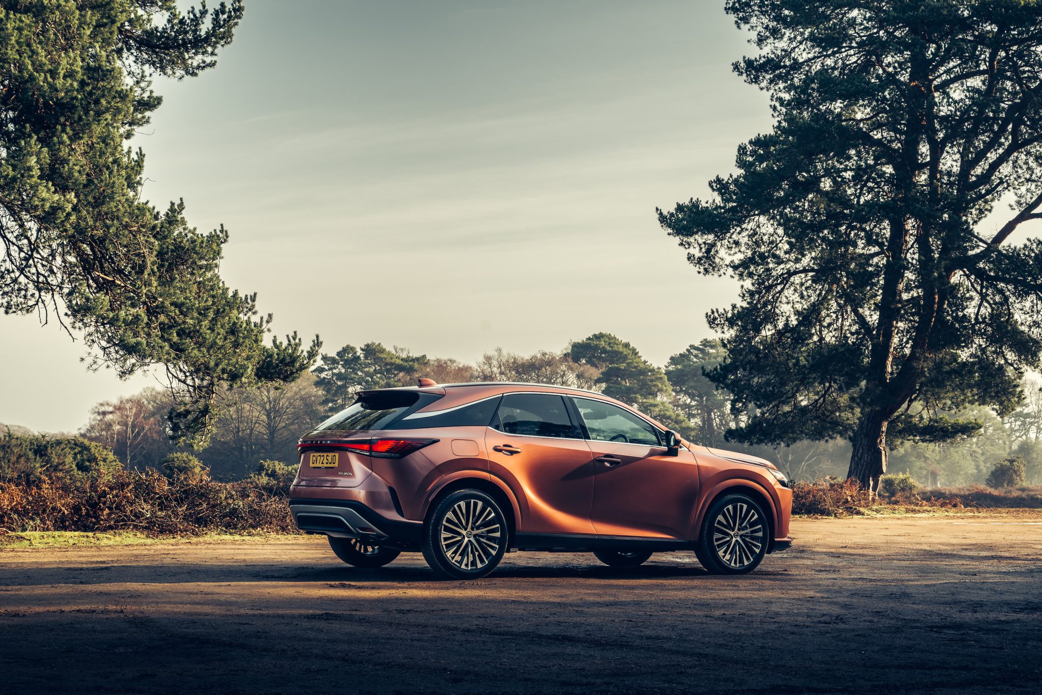 All-New RX - Lexus Media Site